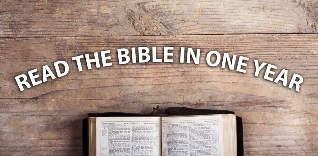 Bible Planner to Help You Read the Whole Bible in 2023